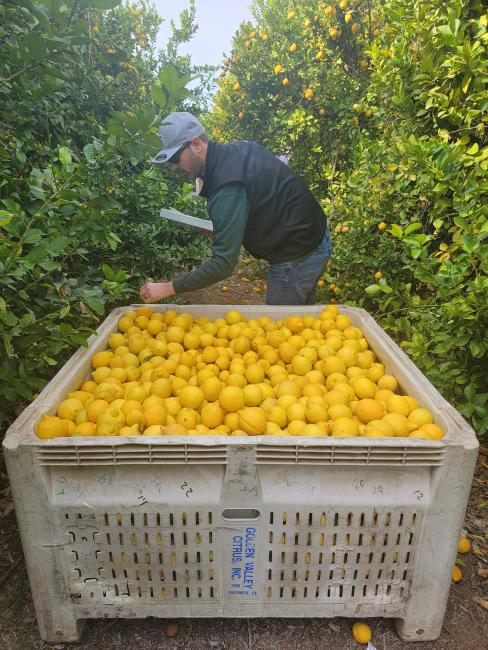 Home | Agricultural Commissioner Riverside County